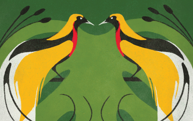 Eugene Symphony 2024-25 Season | Hult Center